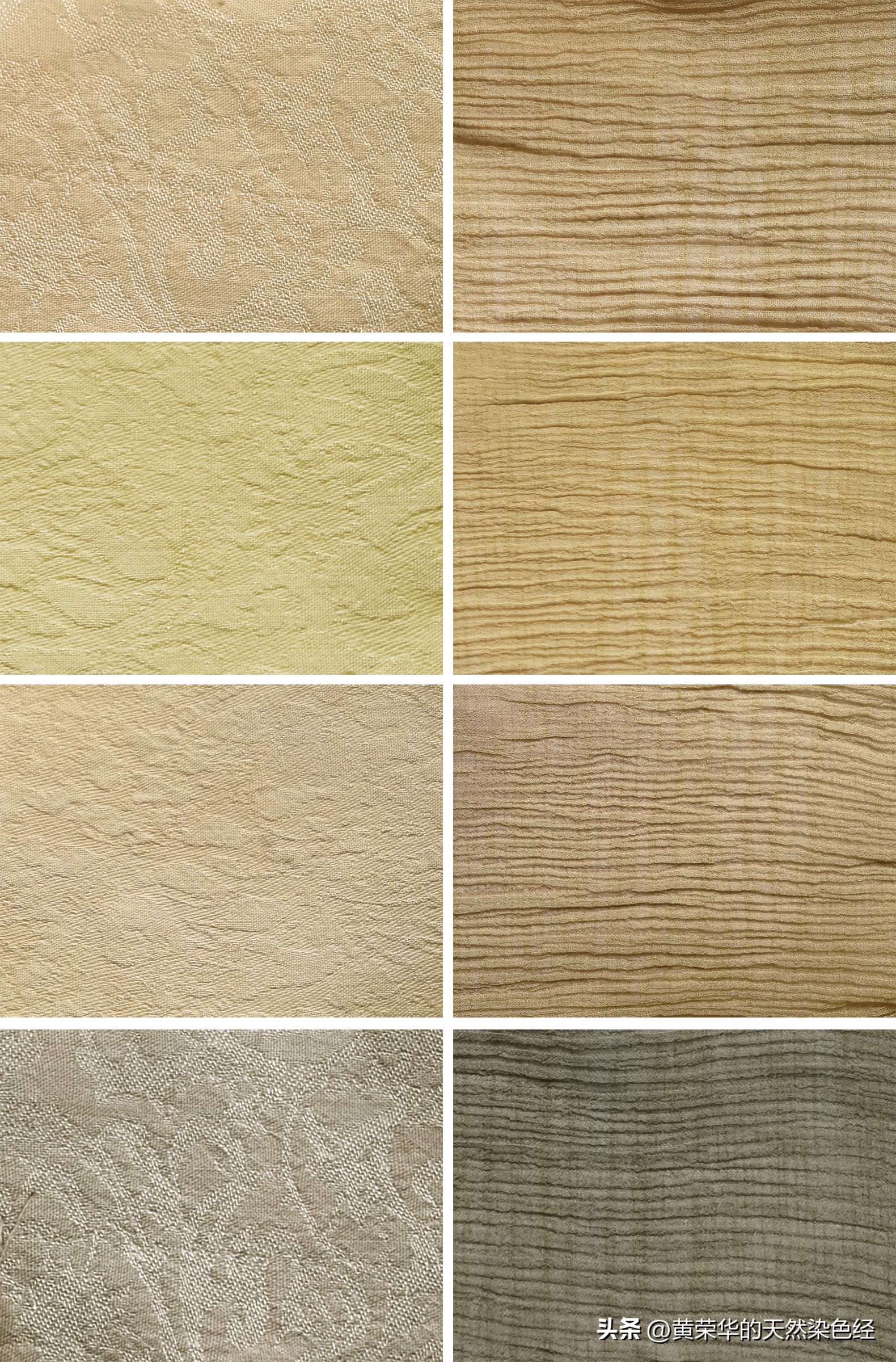 Vegetable dyed dry goods | Vegetable dyes - cypress - iNEWS