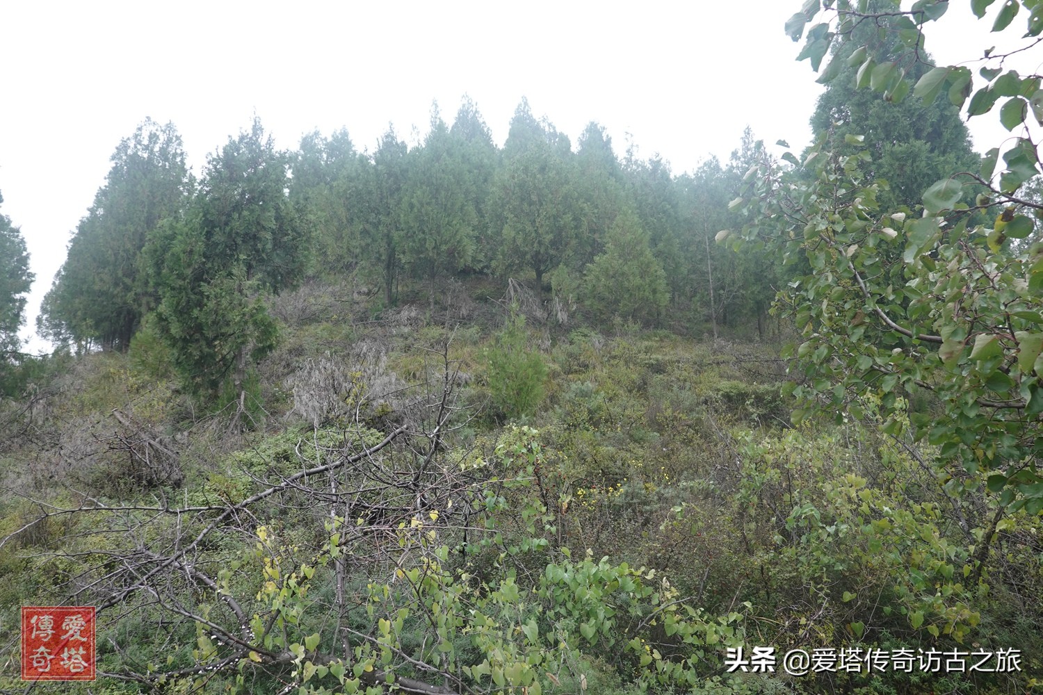 Tang Xincheng Princess Tomb - iNEWS