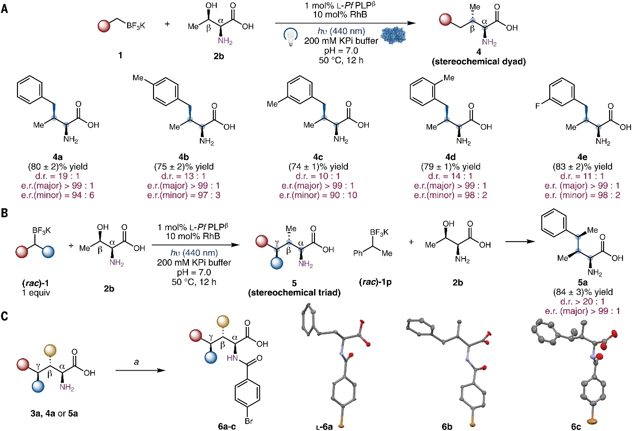 Science: Photoenzyme Synergistic Catalysis, Selective Synthesis of ...