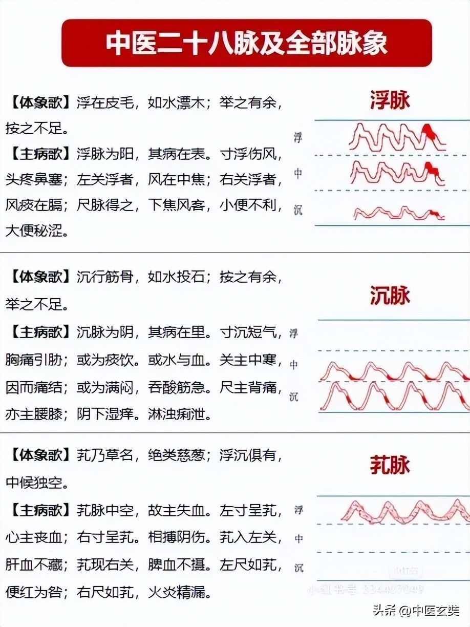 Traditional Chinese Medicine Pulse Diagnosis - iNEWS