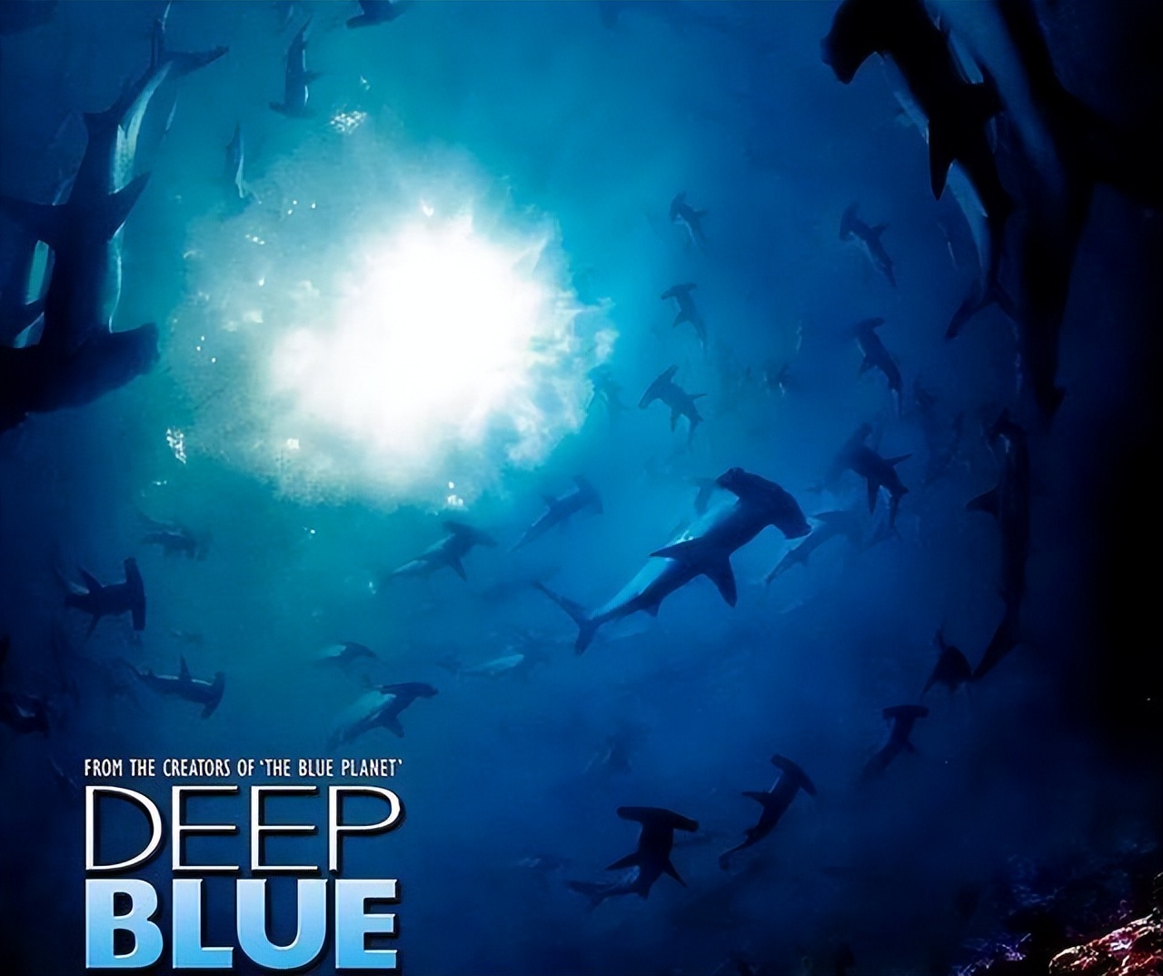 The movie "The Big Blue Sea" shows the friendship between two divers ...