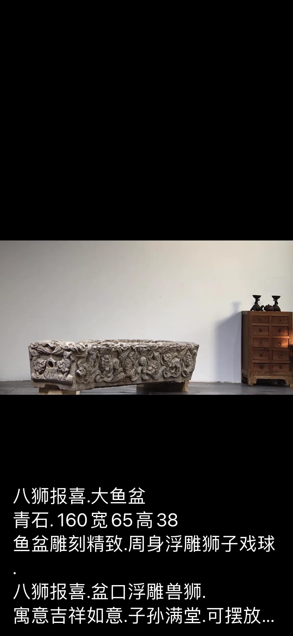 Eight lions announce good news. Big fish basin - iMedia