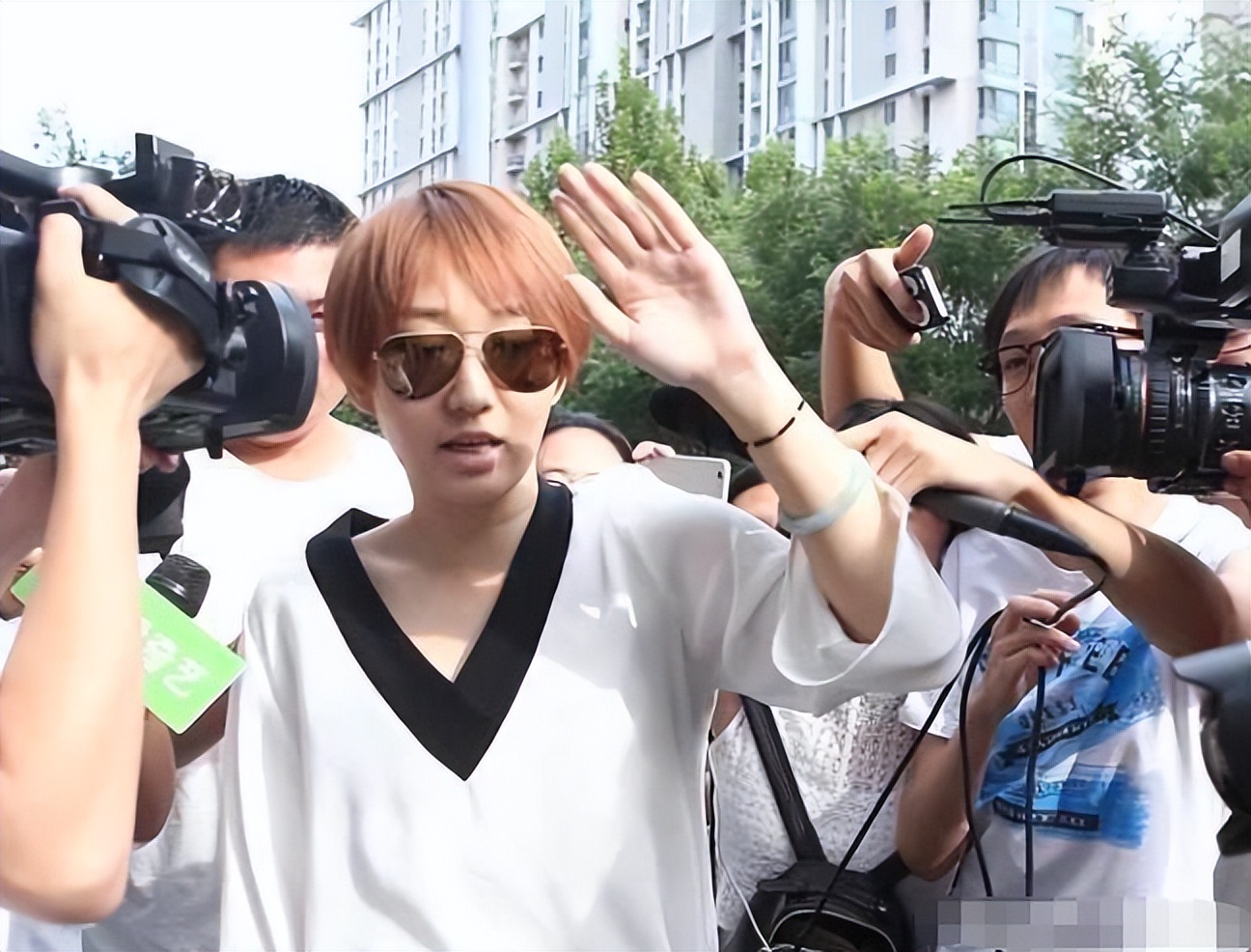 Ma Rong applied for immigration with 15 million yuan. Looking back at ...