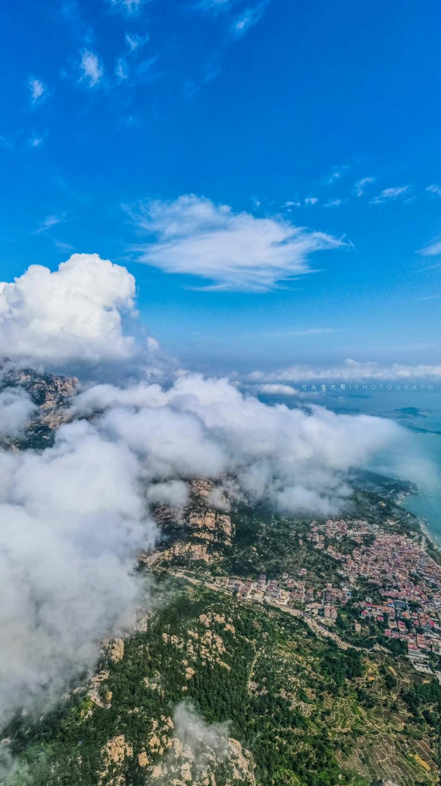 In the forest park, meet the spring scenery of the island city - iMedia