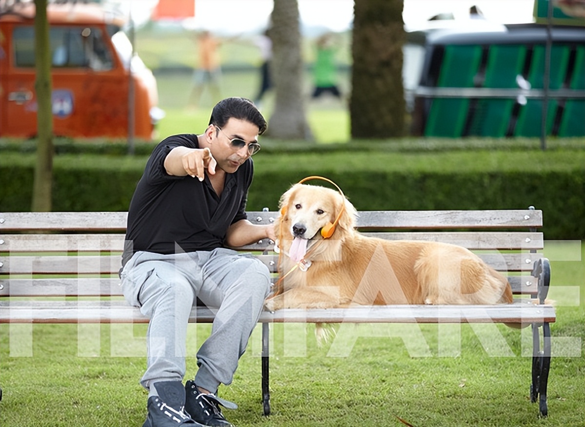 "Hello, Cool Dog": A movie that will make you laugh or cry! - iNEWS