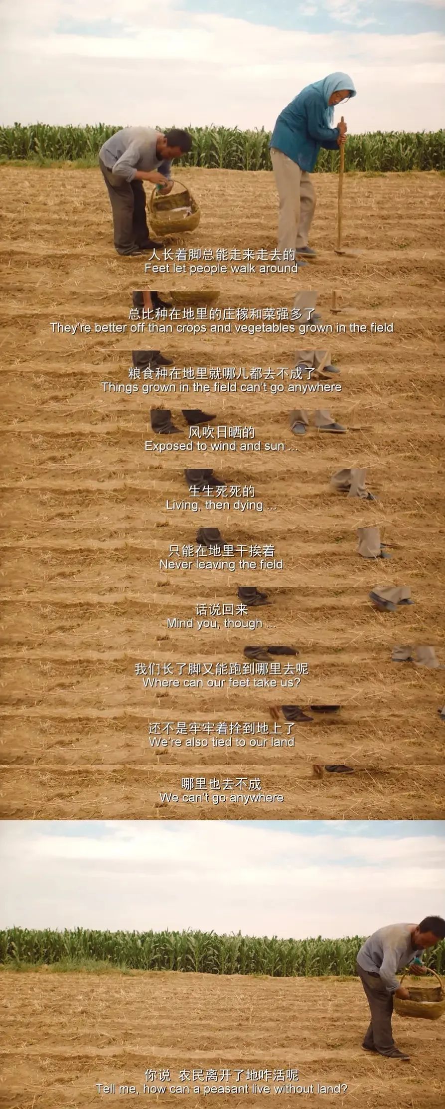 By Li Ruijun's "Hidden in the Dust", talk about the complementarity and ...