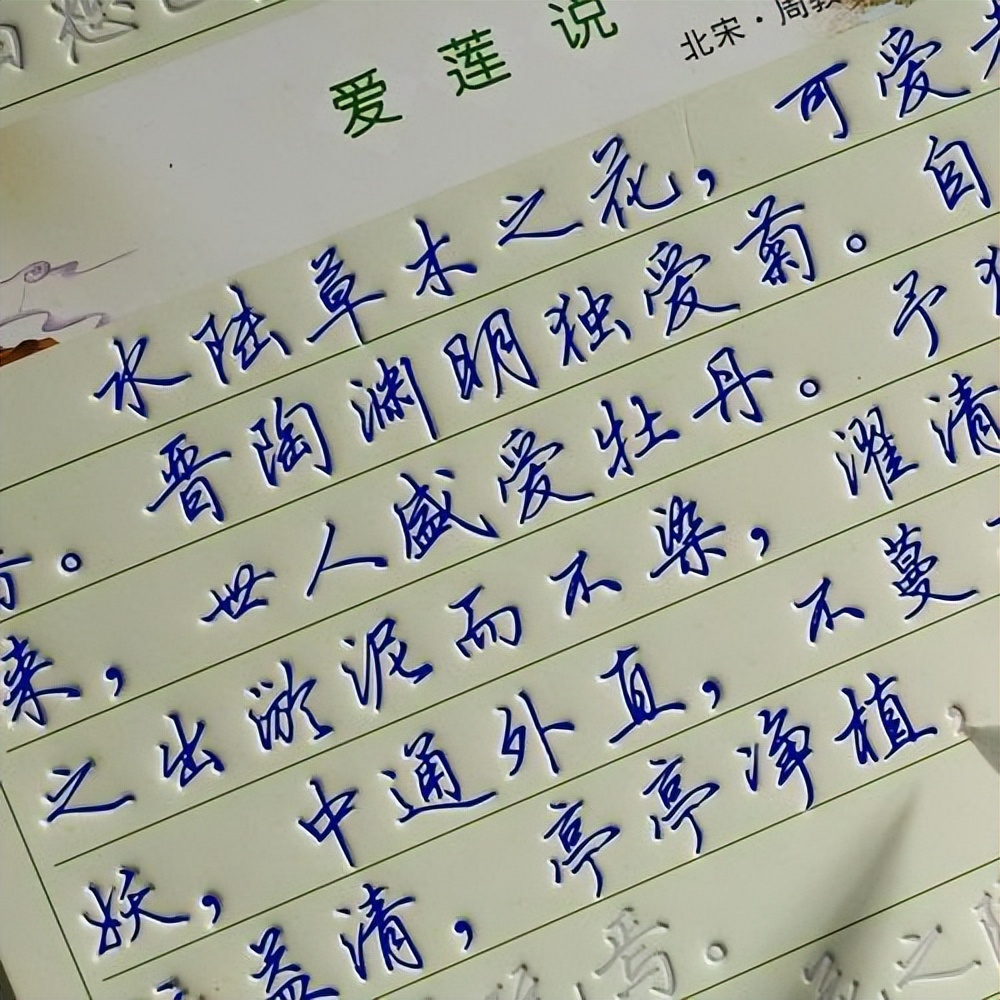 "Practicing Calligraphy" 74. How useful is the groove copybook for ...