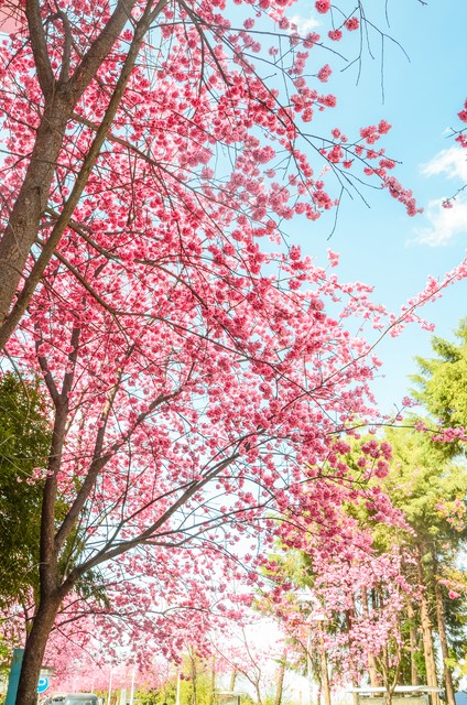 Pick up a few divorced star couples - iNEWS