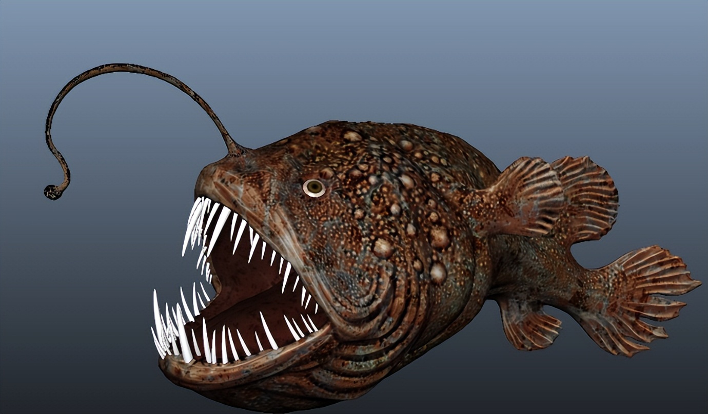 Lantern Fish: The Mysterious Messenger of the Deep Sea Pearl - iMedia