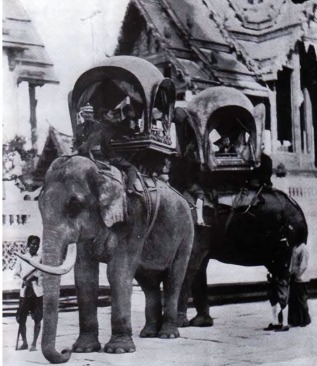 The history, development and cultural influence of Thai Elephant Beer ...