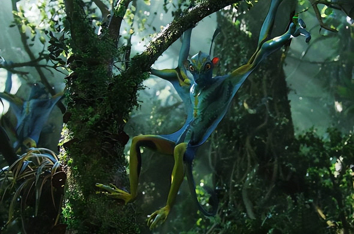 Hidden details of the picture!Avatar: Those seemingly inadvertent shots ...