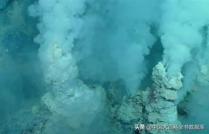 Submarine hot spring and cold spring ecosystem: deep sea secrets ...