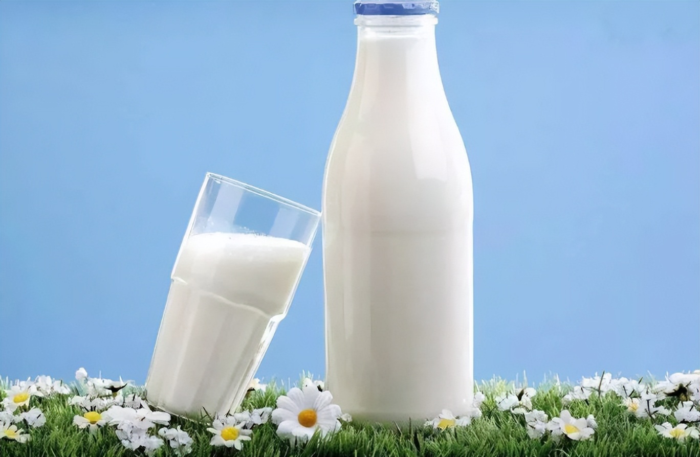 Drinking too much milk can cause cancer! The risk of prostate cancer in ...