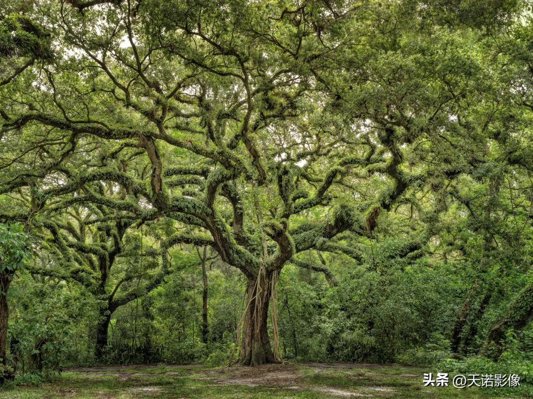 Give summer some "green" look - iNEWS