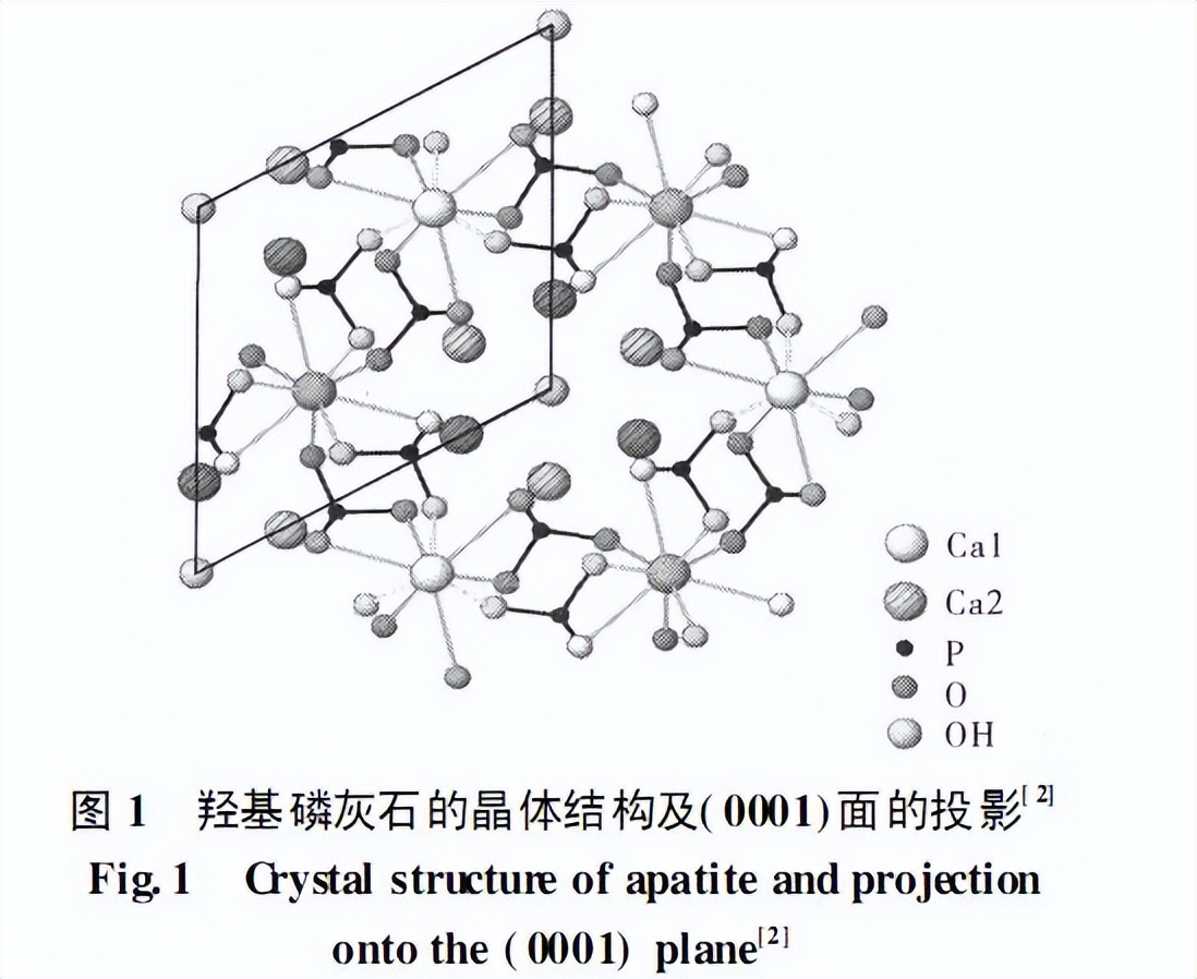 What are the characteristics of the preparation of nano-hydroxyapatite ...
