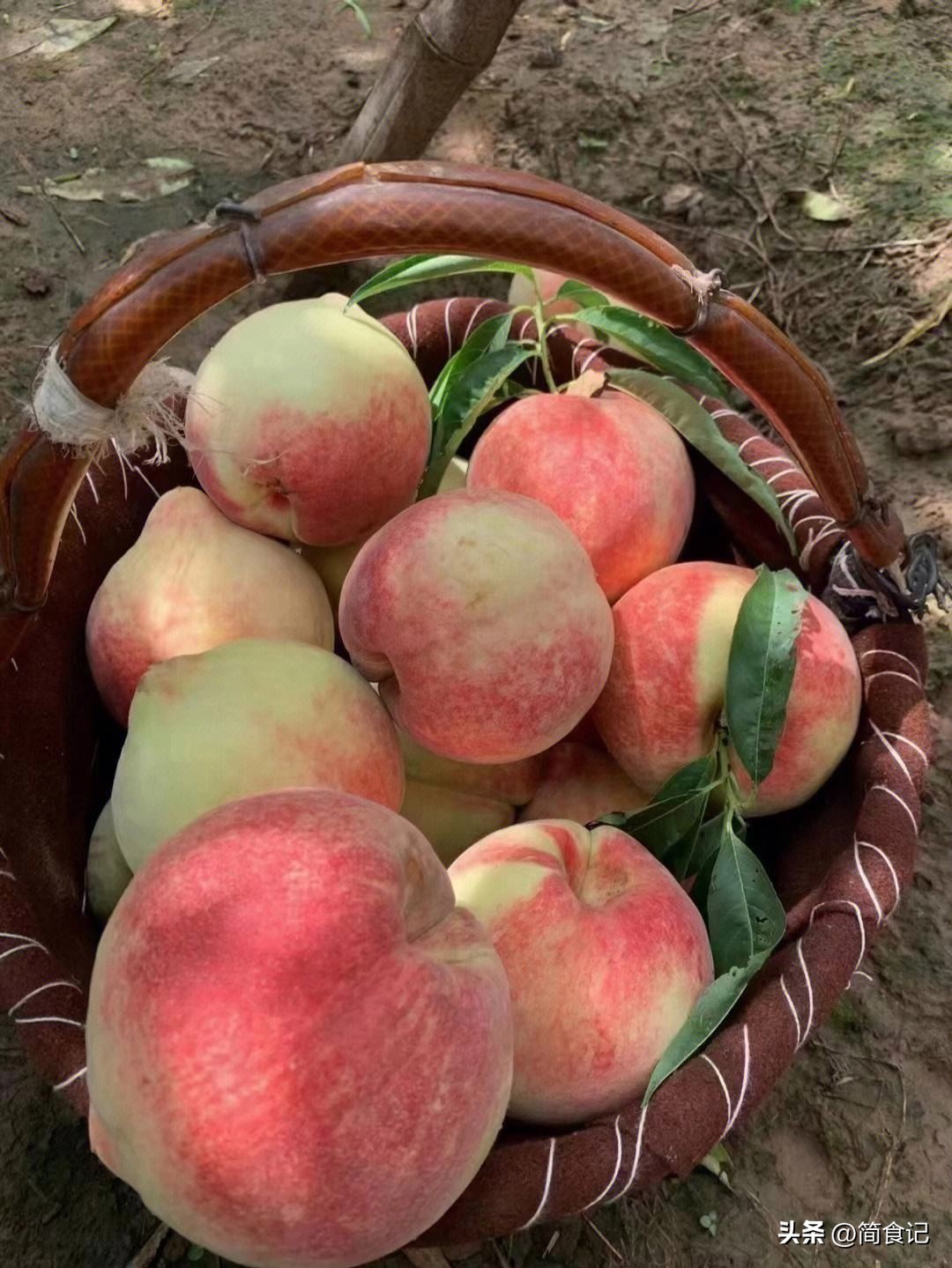 Where in China has the best peaches? After selection, these 5 places ...