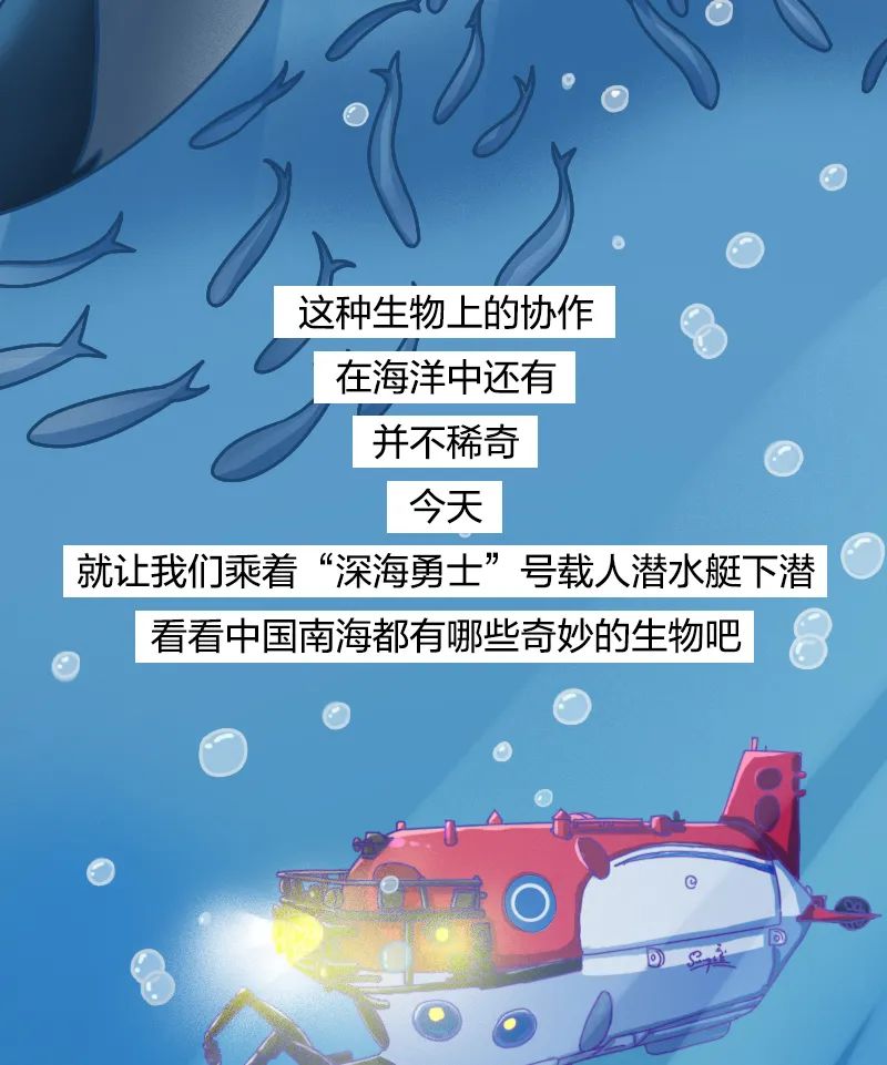 [World Oceans Day] Dive into the deep sea 4,000 meters, this ...