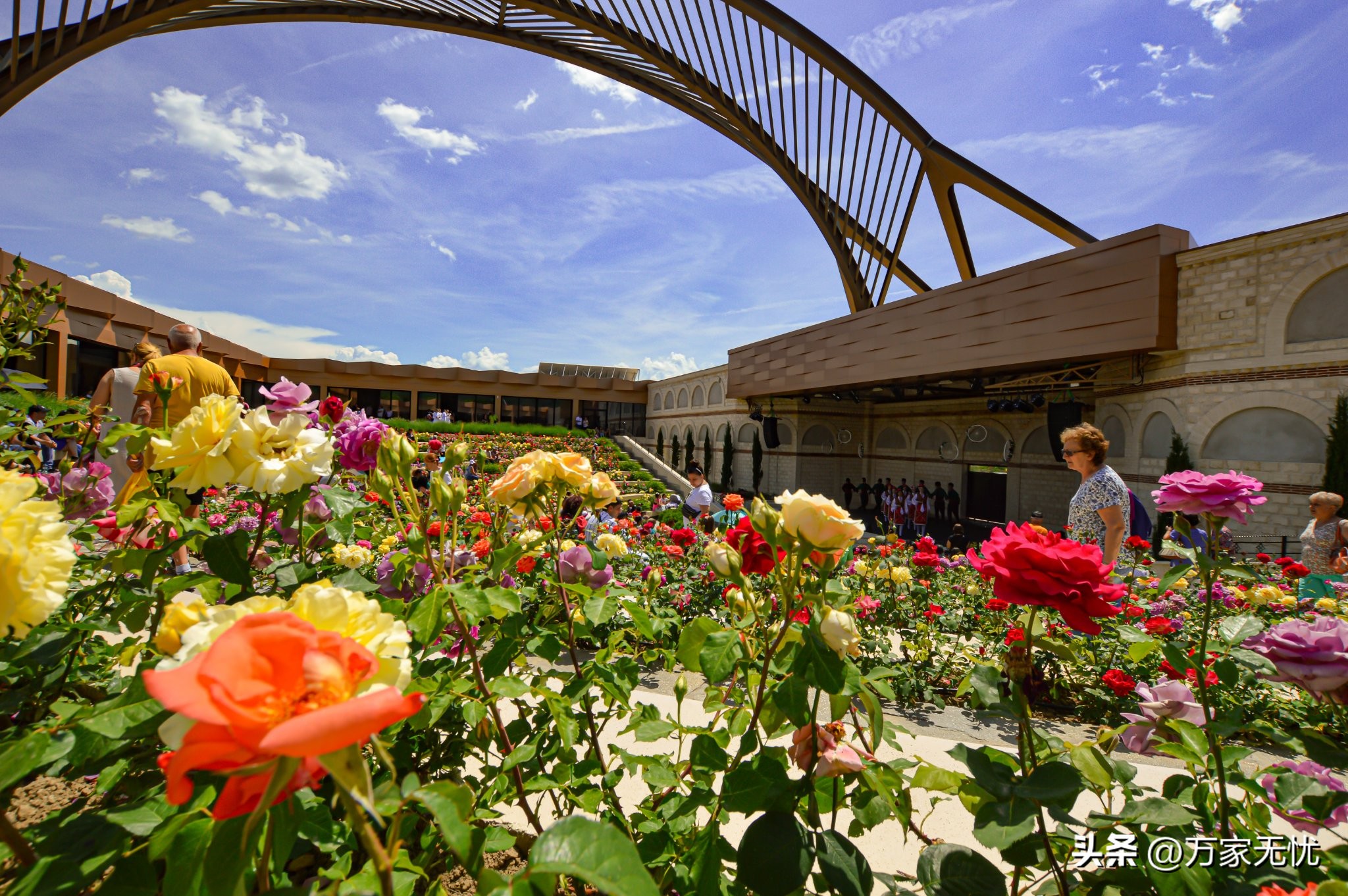 The Rose Festival is rich in programs and will welcome guests on June 3 ...
