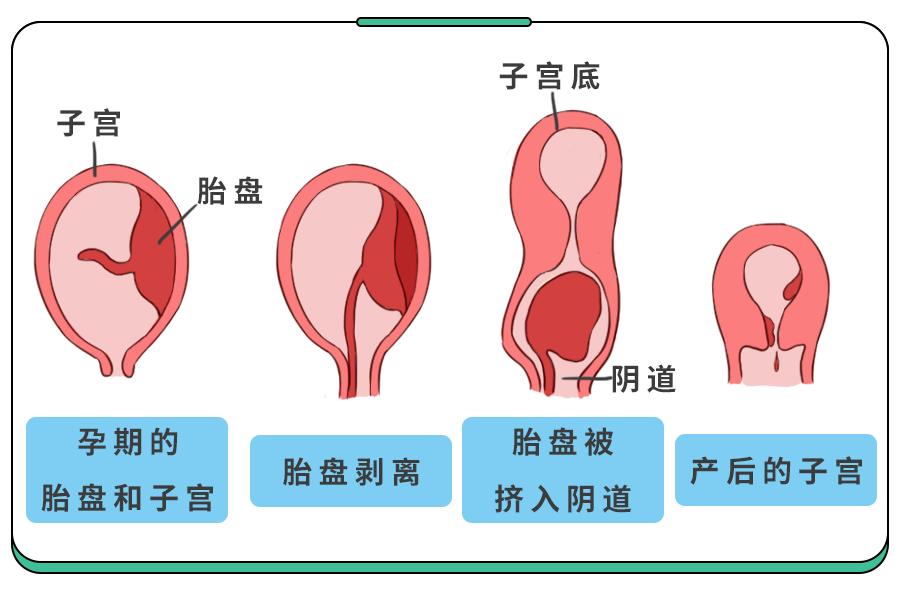 All mothers, postpartum lochia is dripping, this is the uterus "calling ...