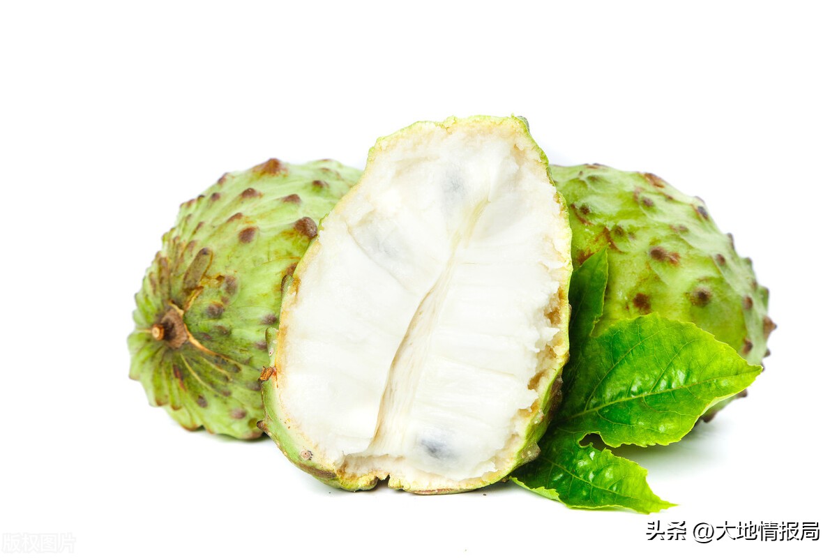 How much do you know about milk pudding in the fruit world - iNEWS