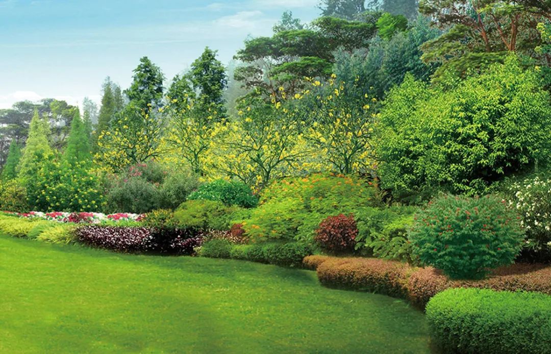 Plant configuration design in urban gardening - iNEWS