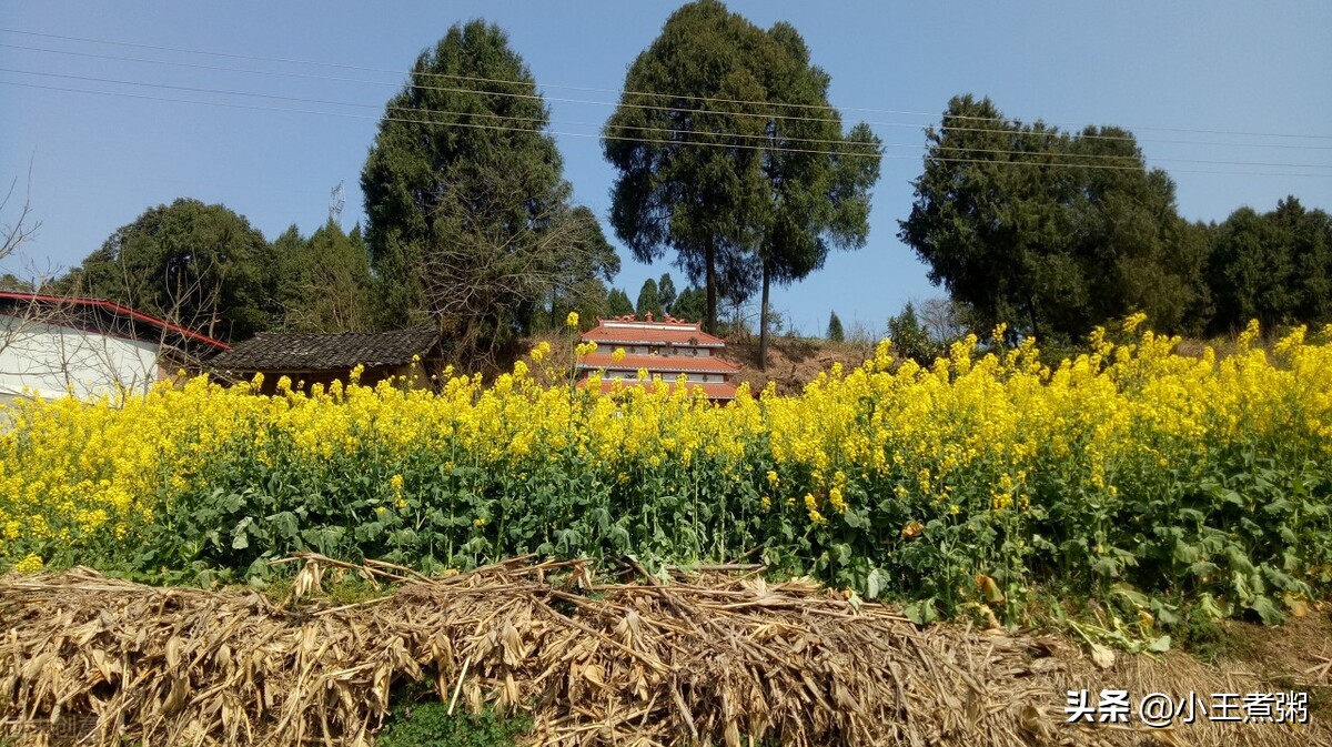 A rogue like Jin Bo in "Xiao Min's Home" can easily find a job and ...