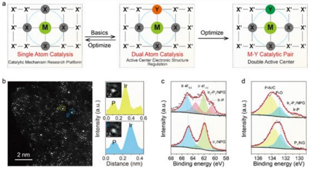 New Catalyst! Liu Bin/Zhai Yueming/Yang Hongbin AM: Selective ...