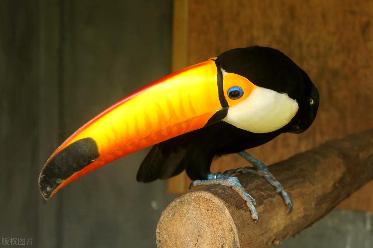 Top 10 most fun attractions in Changsha - iNEWS