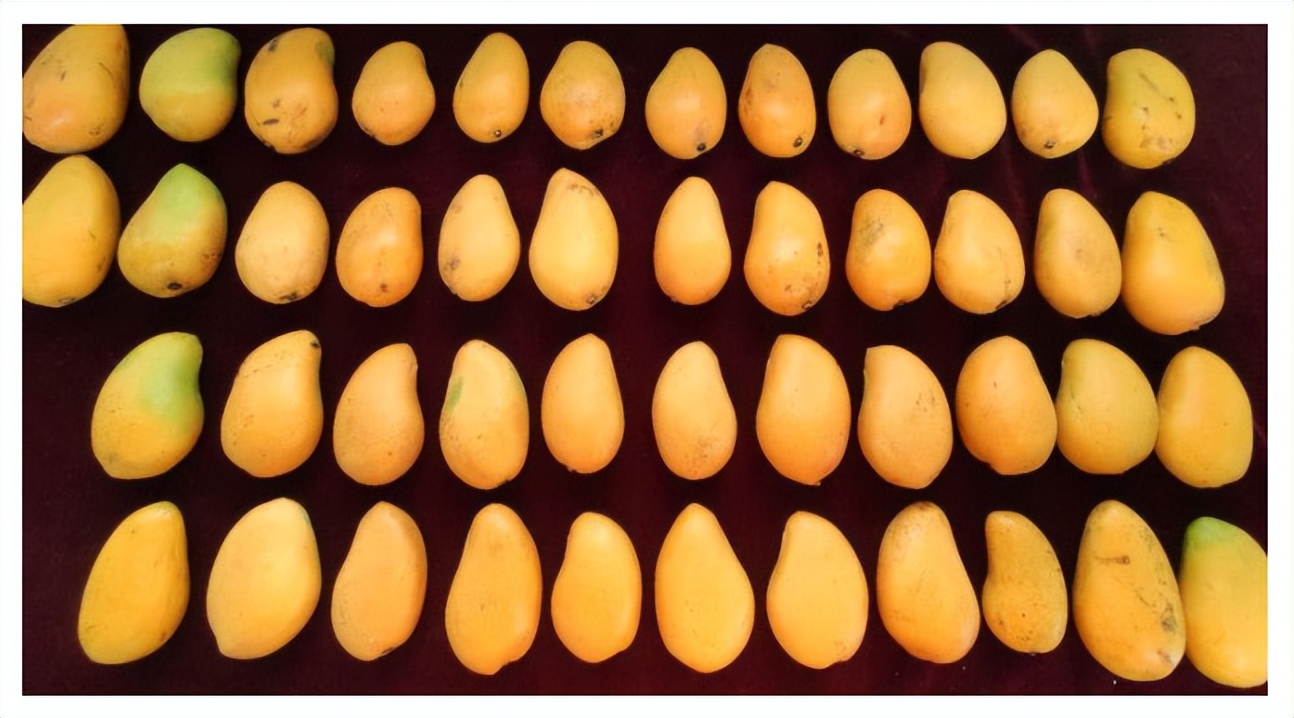 Application of hyperspectral camera to detection of internal quality of ...
