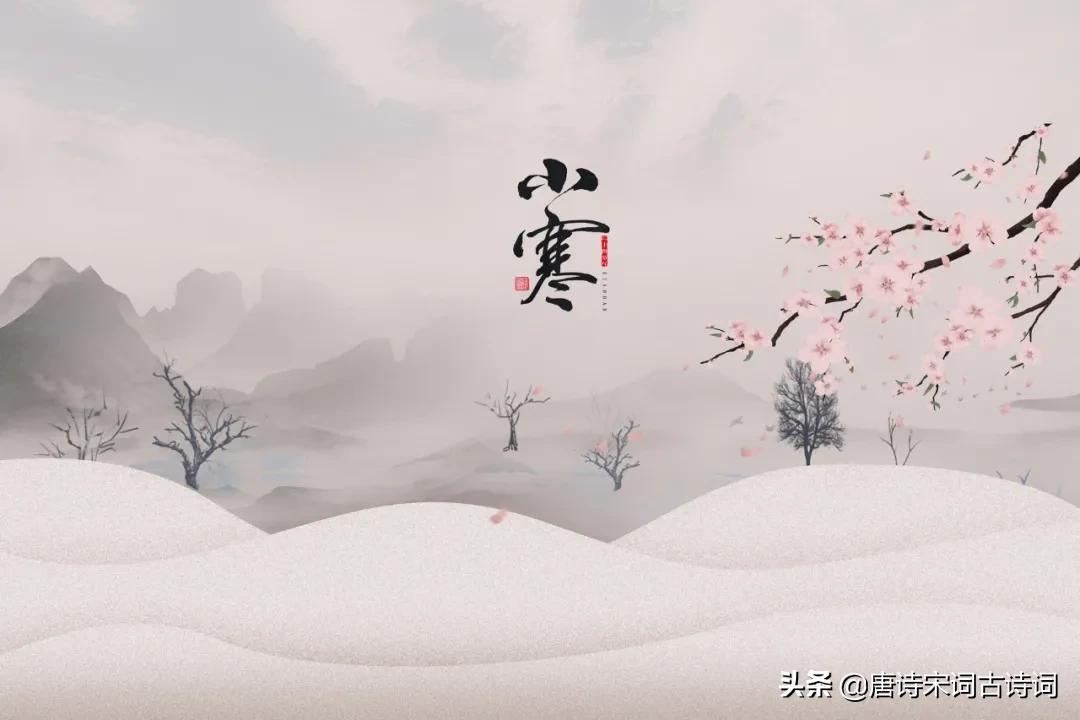 Xiaohan's solar term is here. Appreciate Lu You's "Tea after Snow" - iNEWS