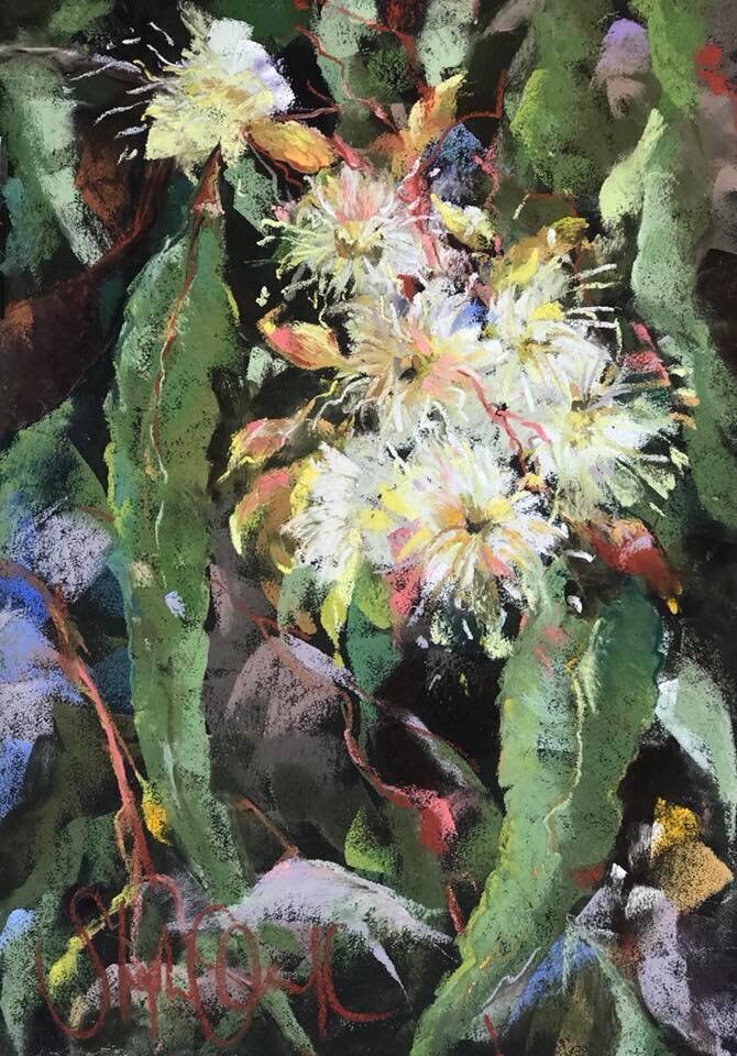 Soft pastels by Australian artist Stephie Clark - iMedia