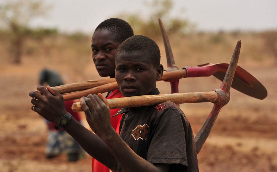 Niger is the country with the highest fertility rate in the world? On ...