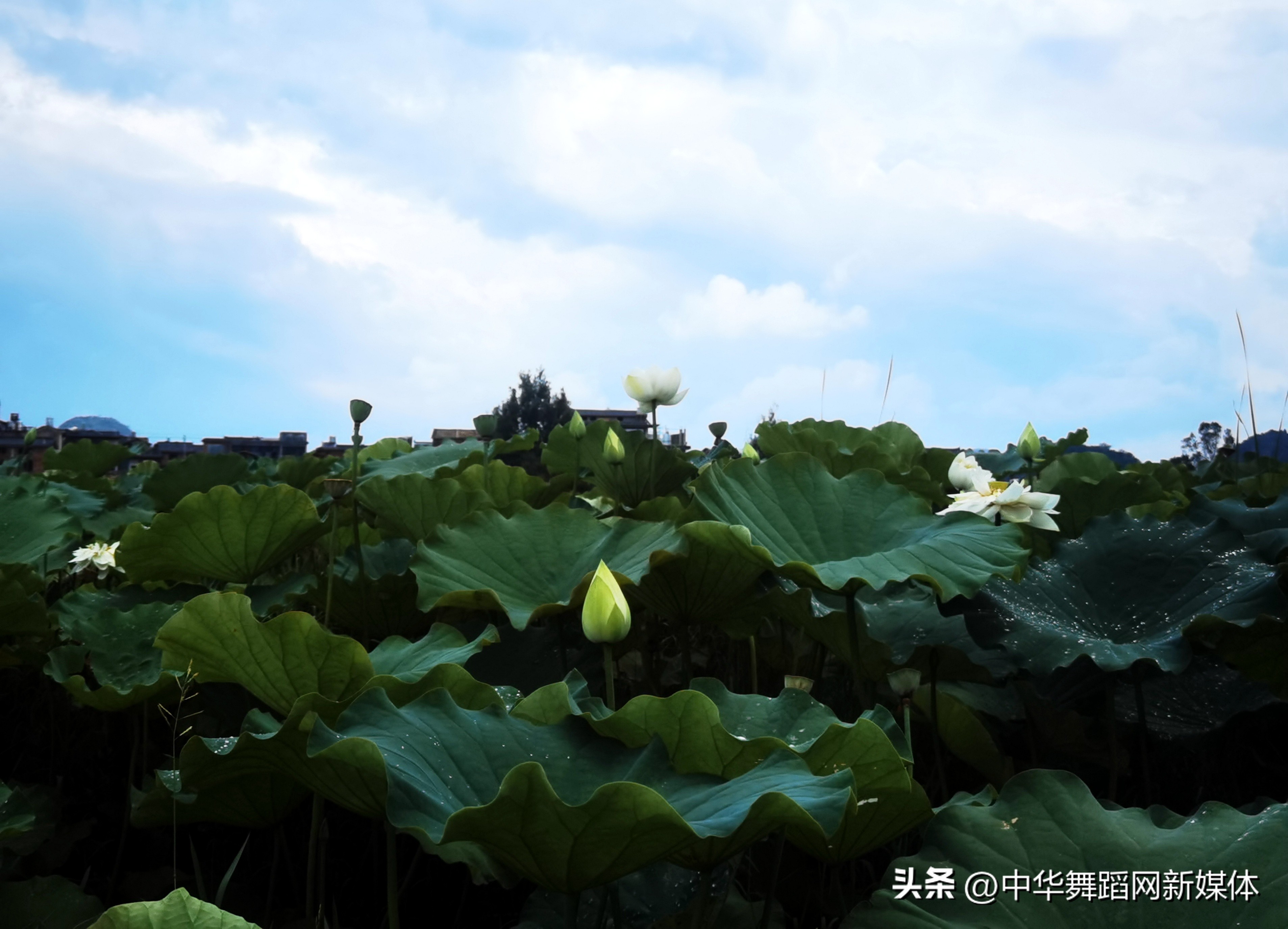 Colorful Yunnan travel photography Puzhehei Scenic Area Lover Bridge ...