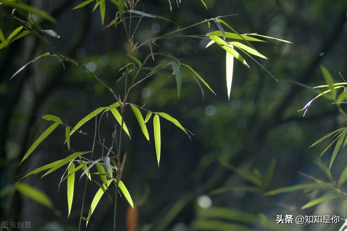 Mr. Gu Sui talks about character: we need dirty hands, we need cleaner ...