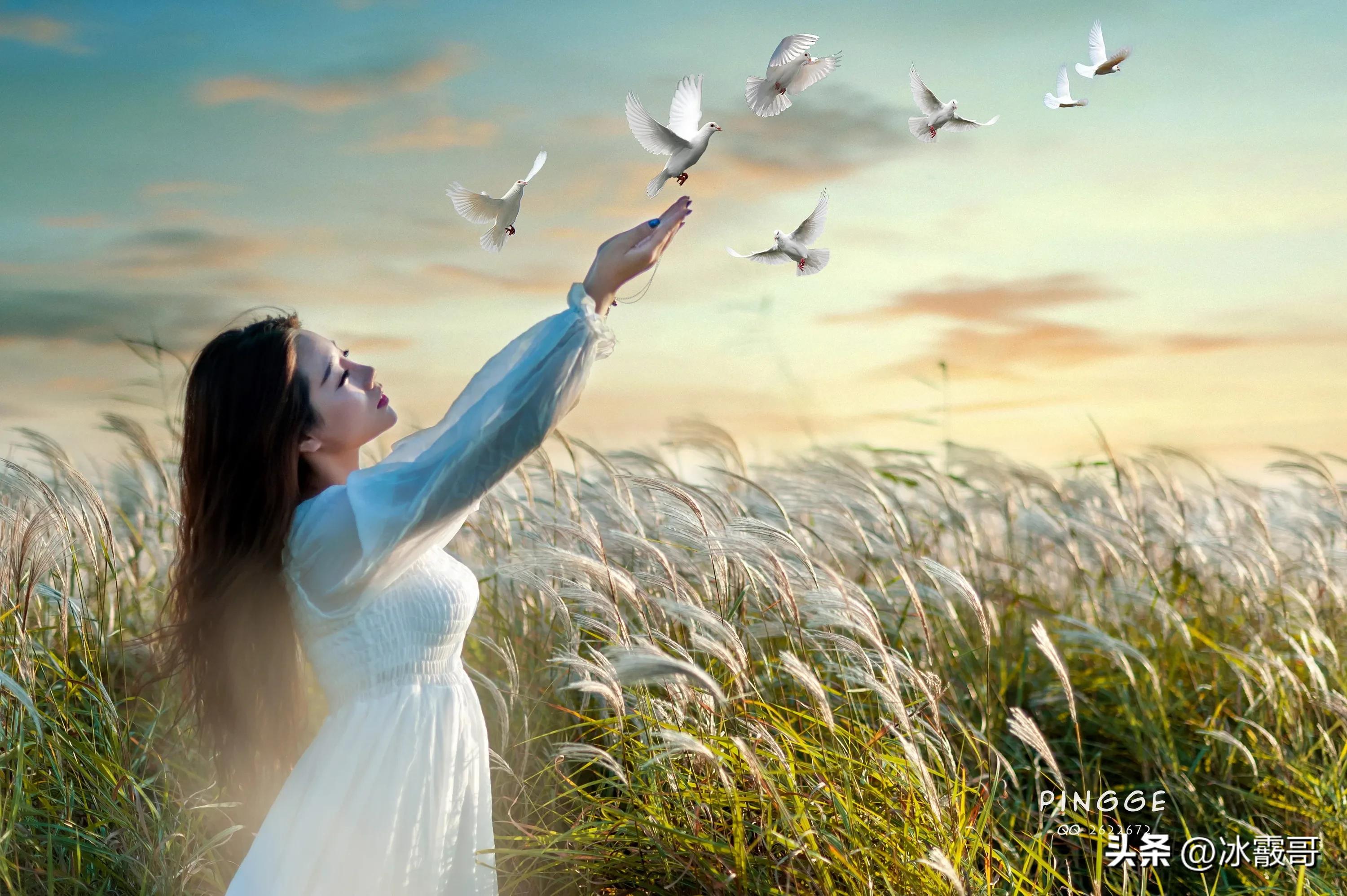 Transcribing the lyrics of "A Dream in a Curtain" Singer: Sun Lu ...