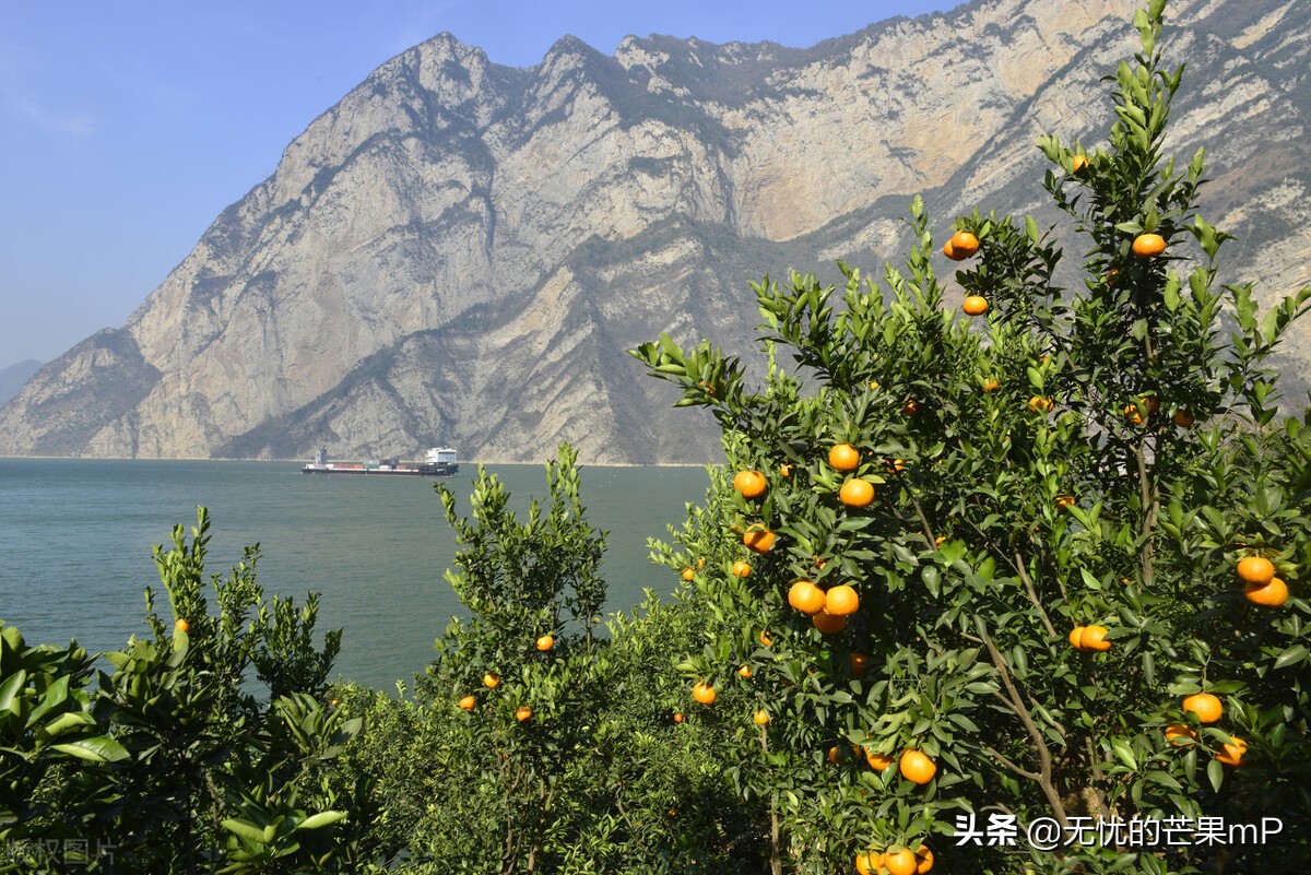 He jumped into the Miluo River holding a stone, leaving only a piece of ...