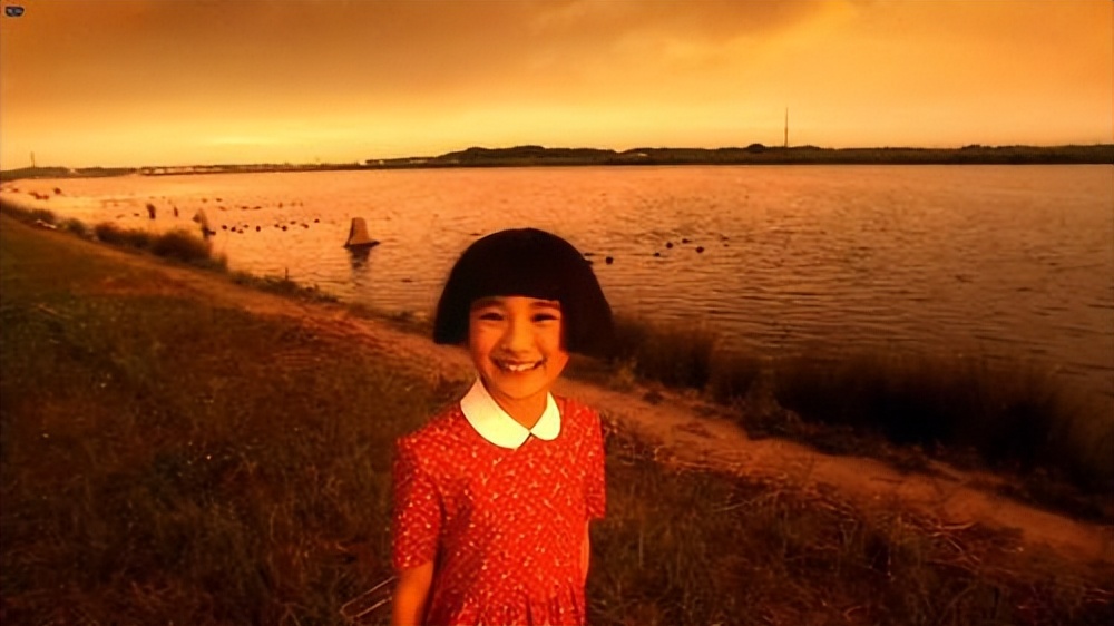 "The Life of the Disliked Pine Nut": Miki Nakatani's Resonance in Exploring Women's Identity ...