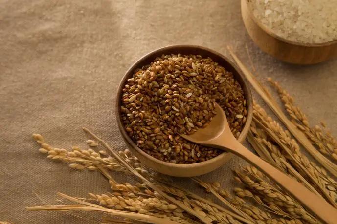 He won a Nobel Prize for proving that white rice is poisonous - iNEWS