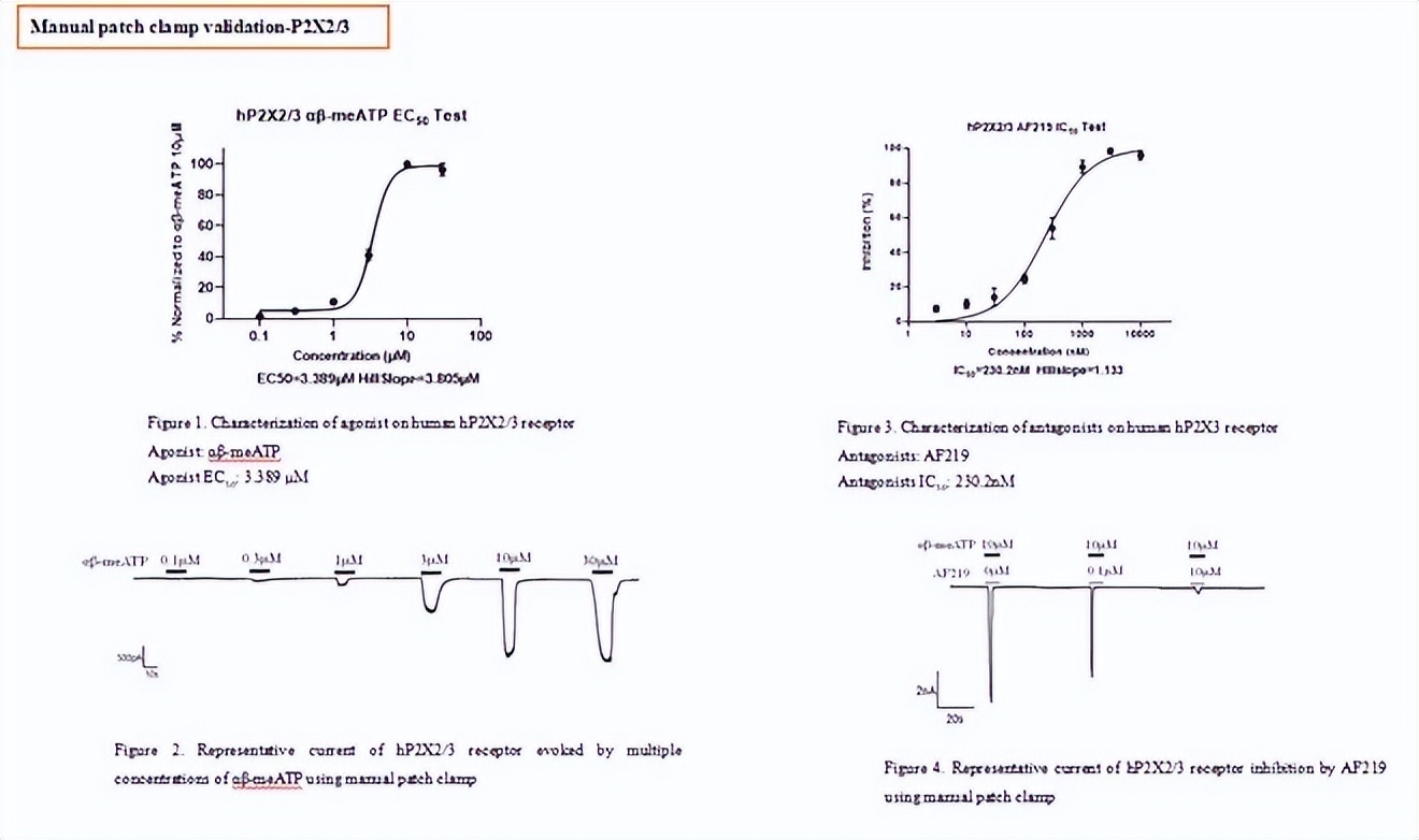 Patch Clamp Detection Service - iNEWS