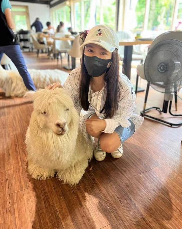 46-year-old Ruby Lin took a photo with an alpaca from Huo Jianhua's ...