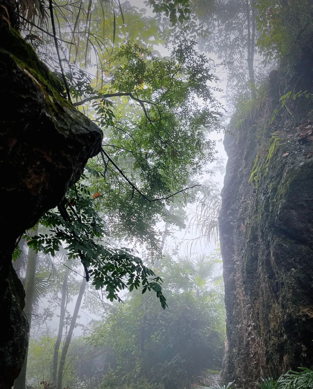 It is very suitable for parent-child hiking to explore the first 24 ...