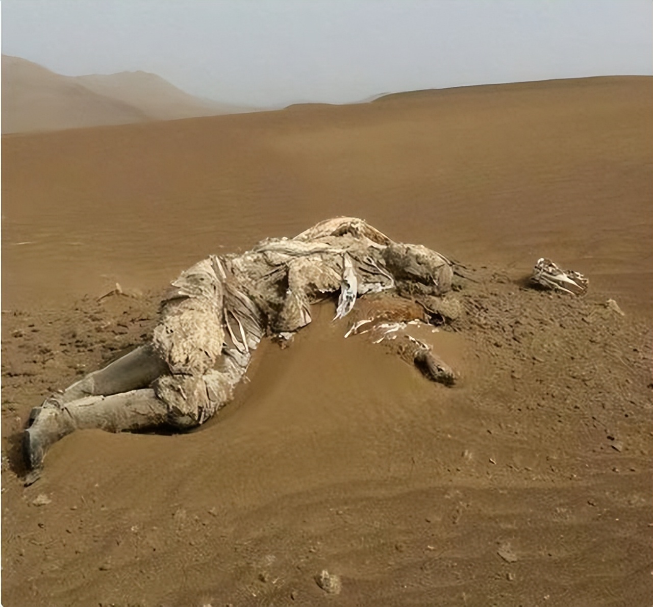 In 2016, a mummy was discovered in Lop Nur, and its identity was ...