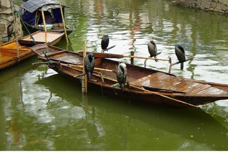 2 intriguing and unpopular poems, you need to experience them carefully ...