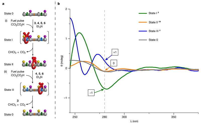 Nature: New discovery of artificial molecular machine - molecular ...