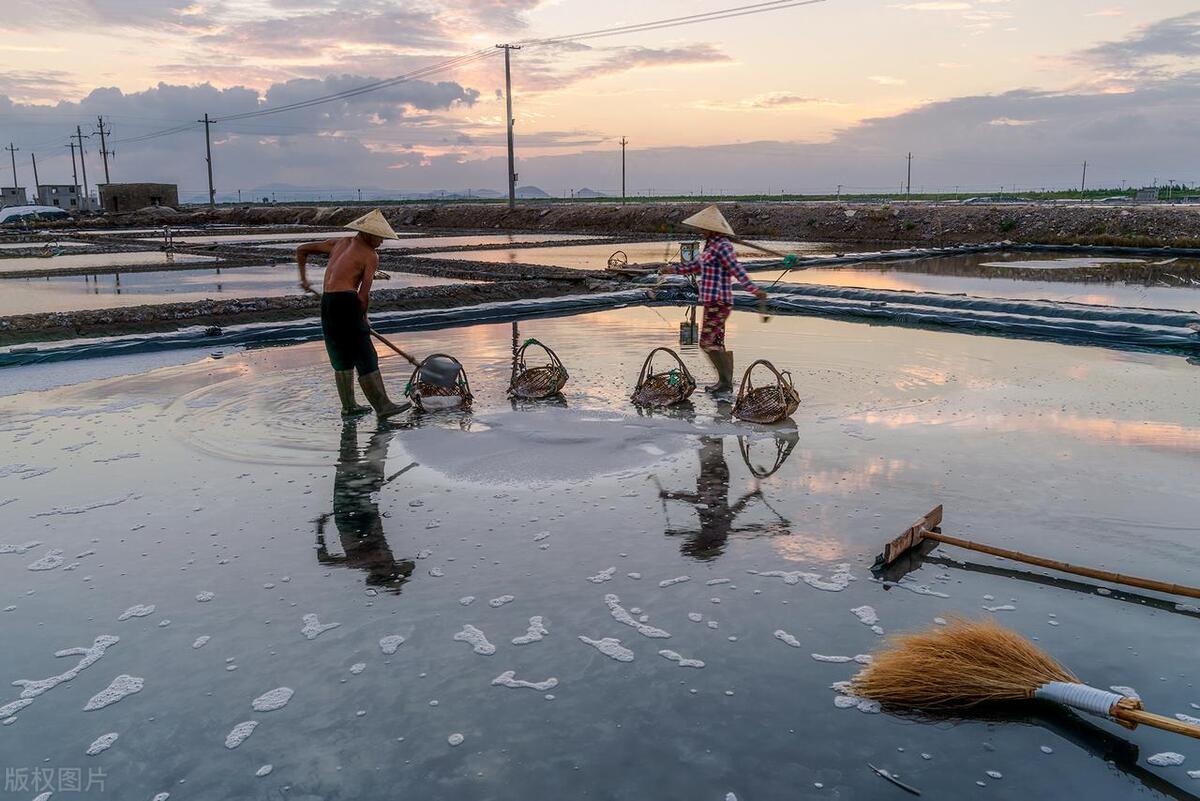 Uncover the process of making salt: from the sea to the dining table ...