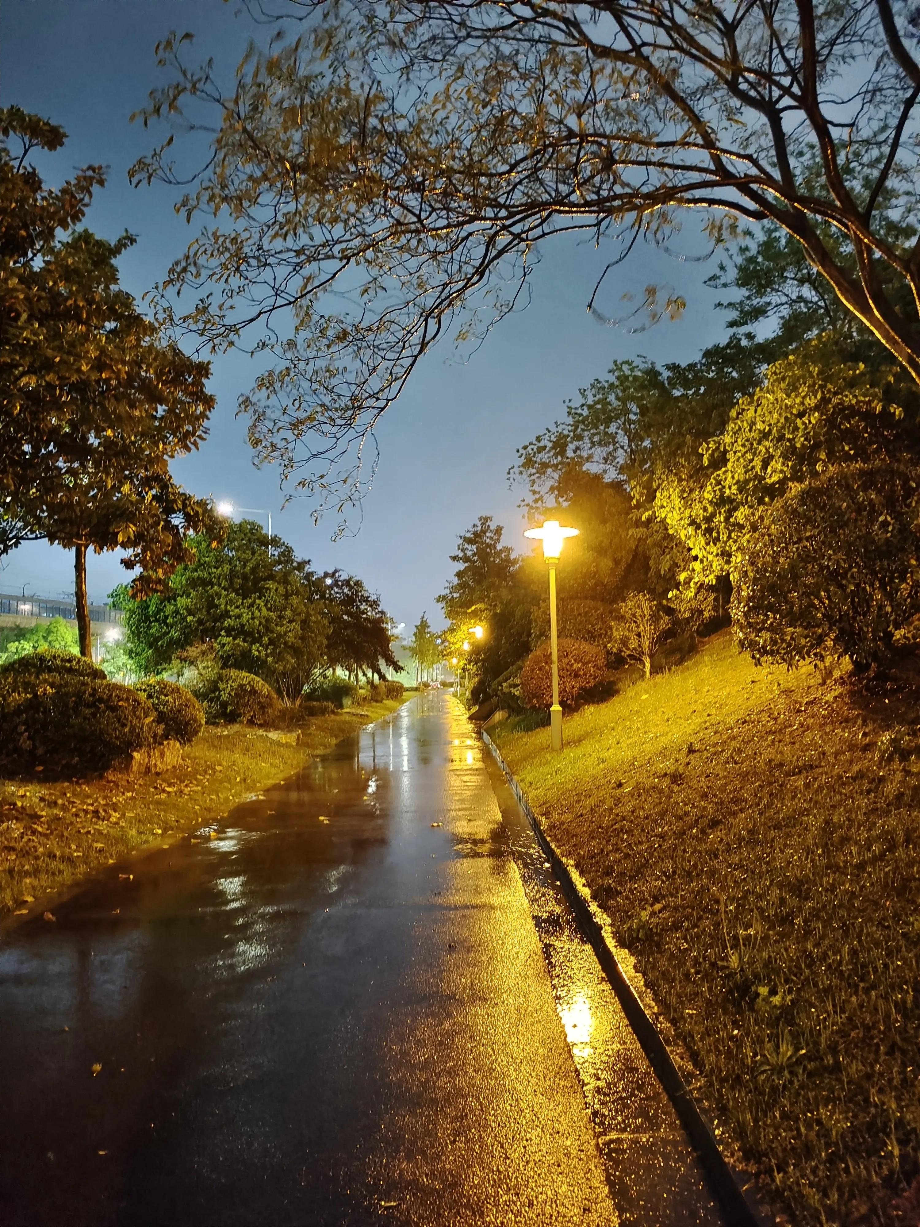 "Wind and Rain Harvard Road" - iNEWS