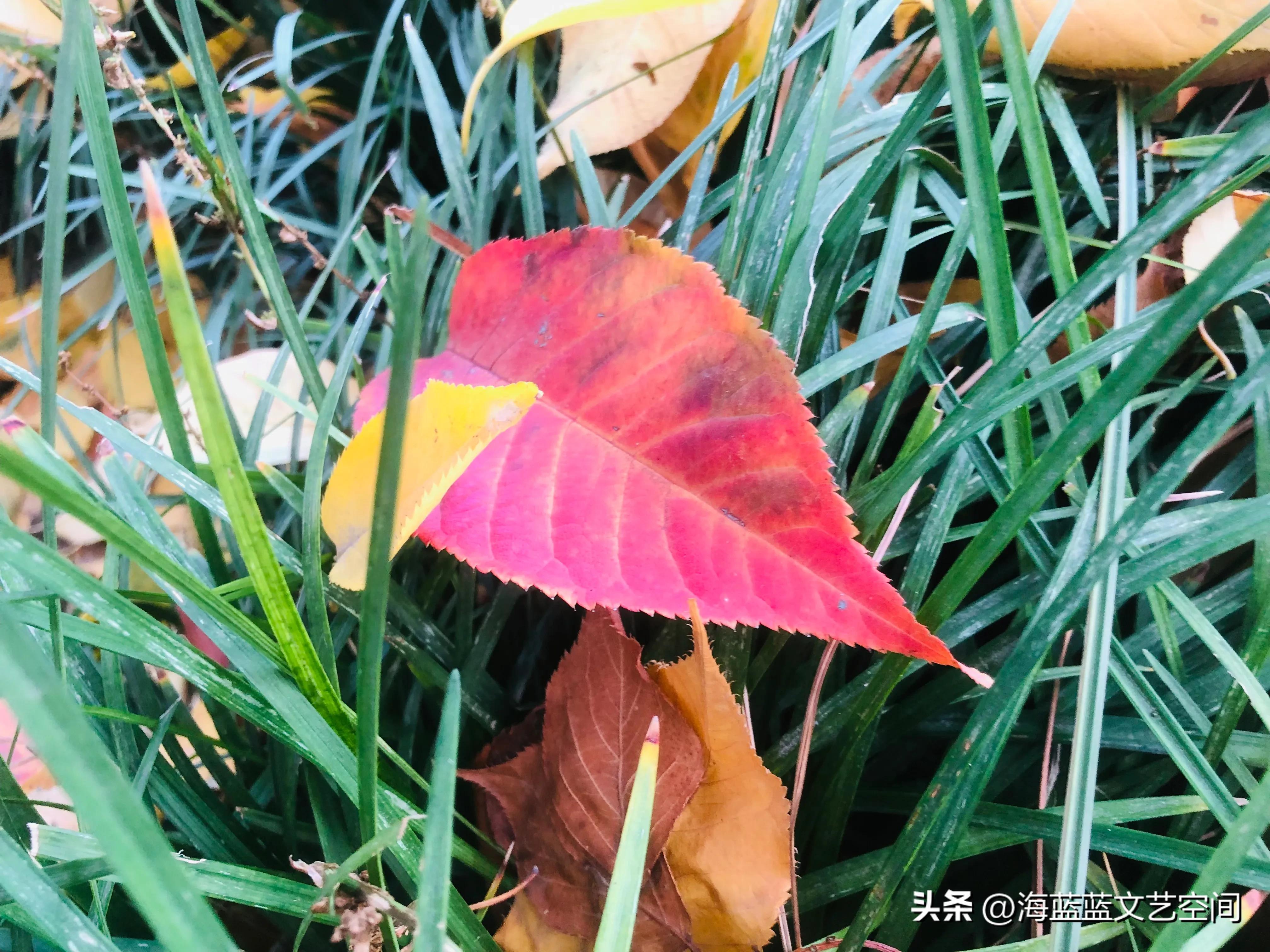 Yu Xiuhua: Love, the terrible "eternity" - iNEWS