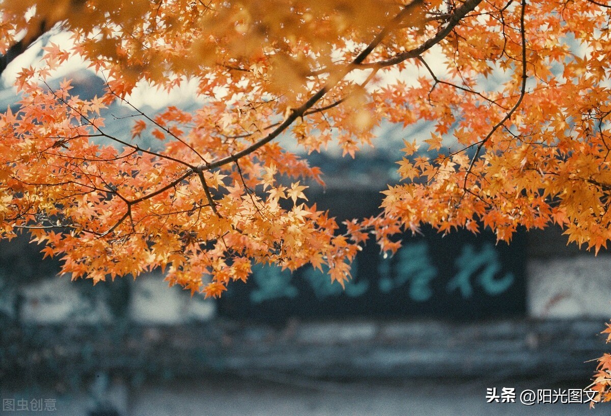 Jianghu Story - Nie Lei VS Zhang Zhenlong "11" - iNEWS