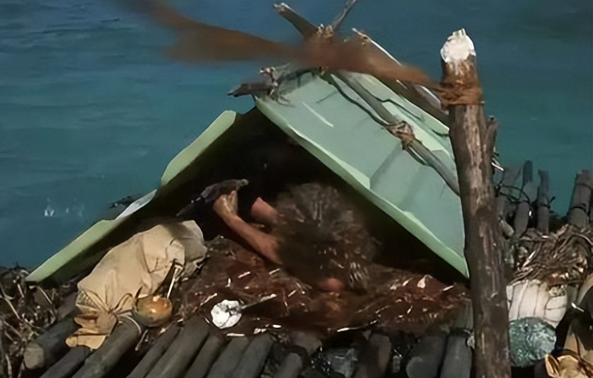 Survival from Desperation According to Robert Zemeckis: Revisiting the ...