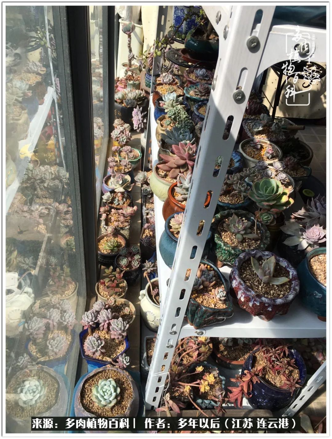 Two Years in the Pit: Meeting you is just the beginning of the story ...